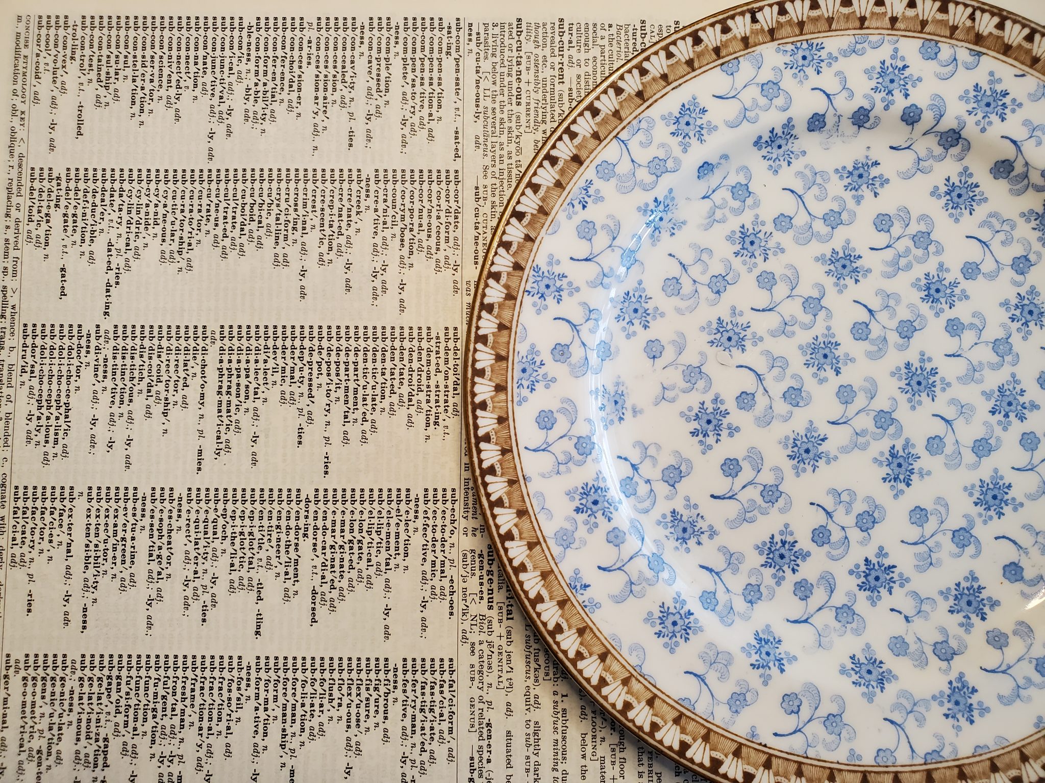 A Beautiful Dictionary Paper Rose DIY - Victorian Lane Farms